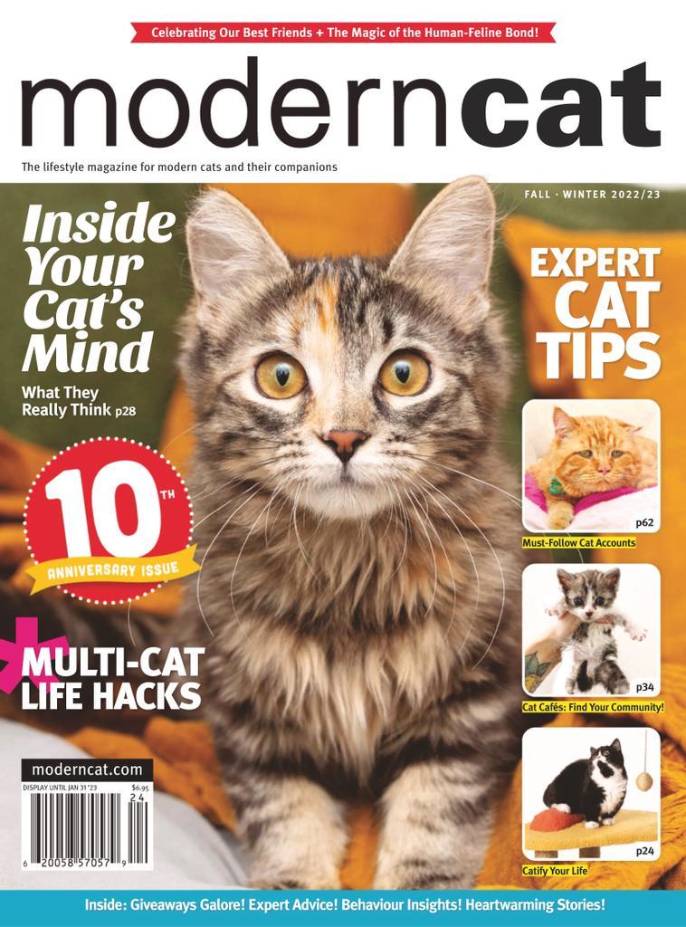 Modern Cat Magazine | TopMags