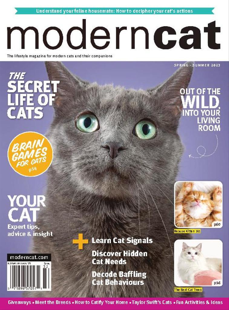 Modern Cat Magazine | TopMags