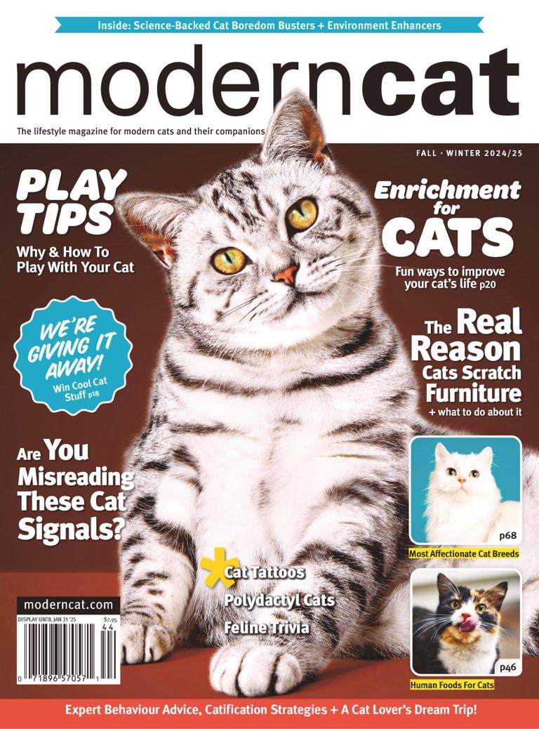 Modern Cat Magazine | TopMags