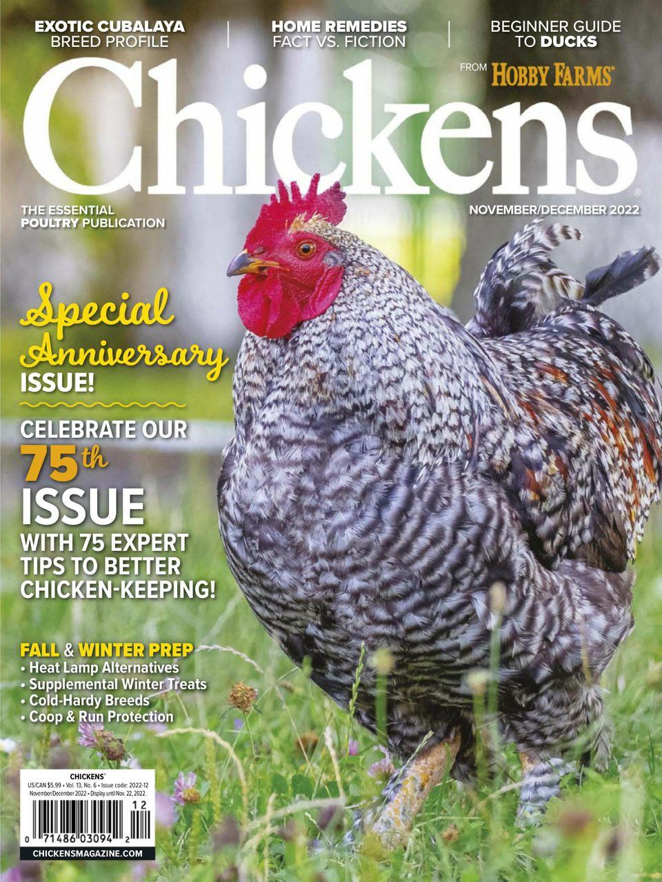 Chickens Magazine | TopMags