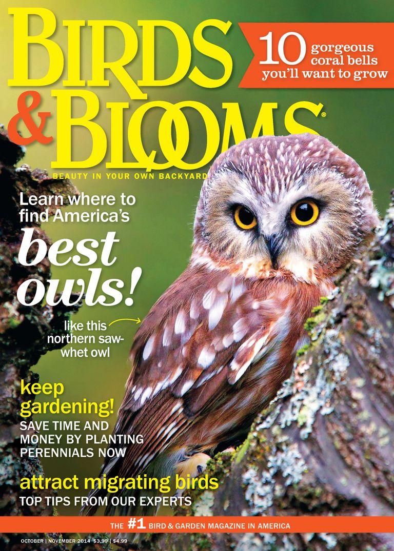 Birds & Blooms Magazine | TopMags