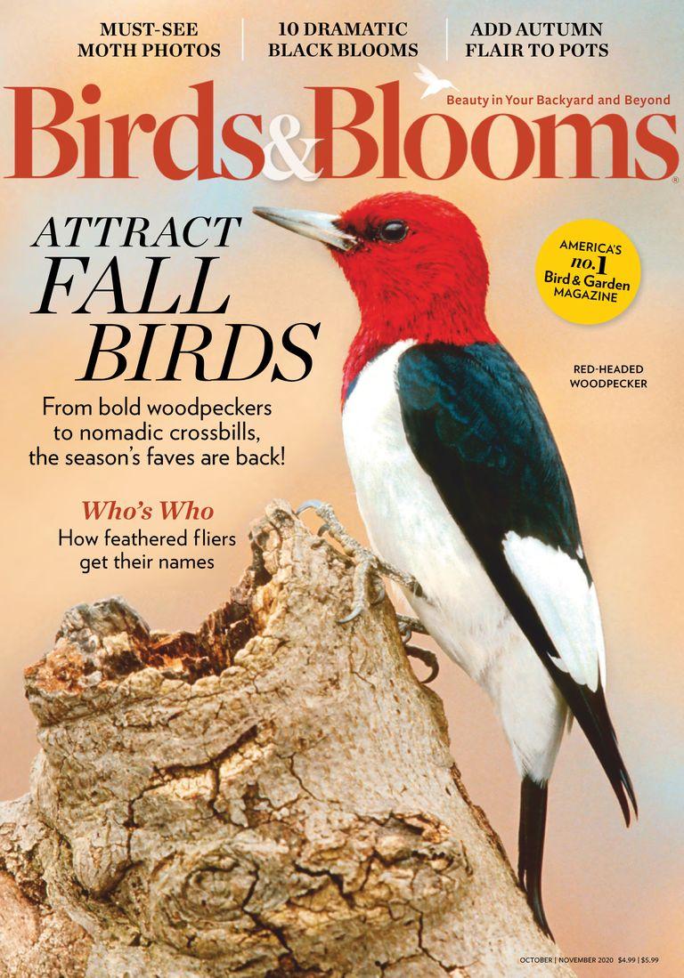 Birds & Blooms Magazine | TopMags