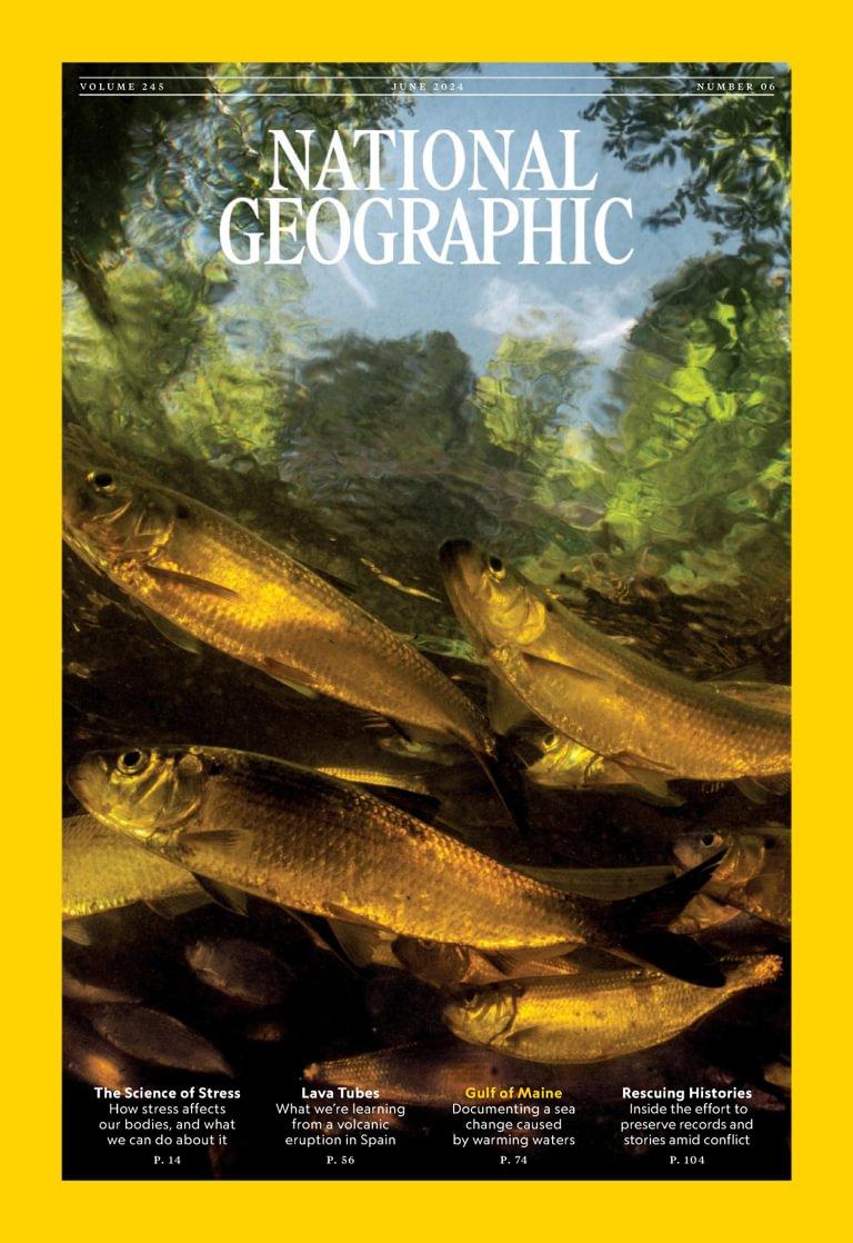 National Geographic Magazine | TopMags