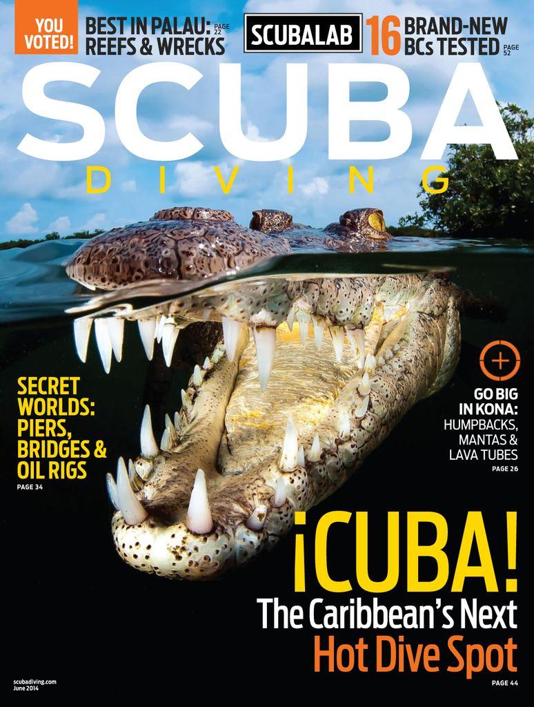 Scuba Diving Magazine | TopMags
