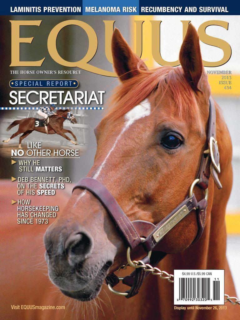 Equus Magazine | TopMags