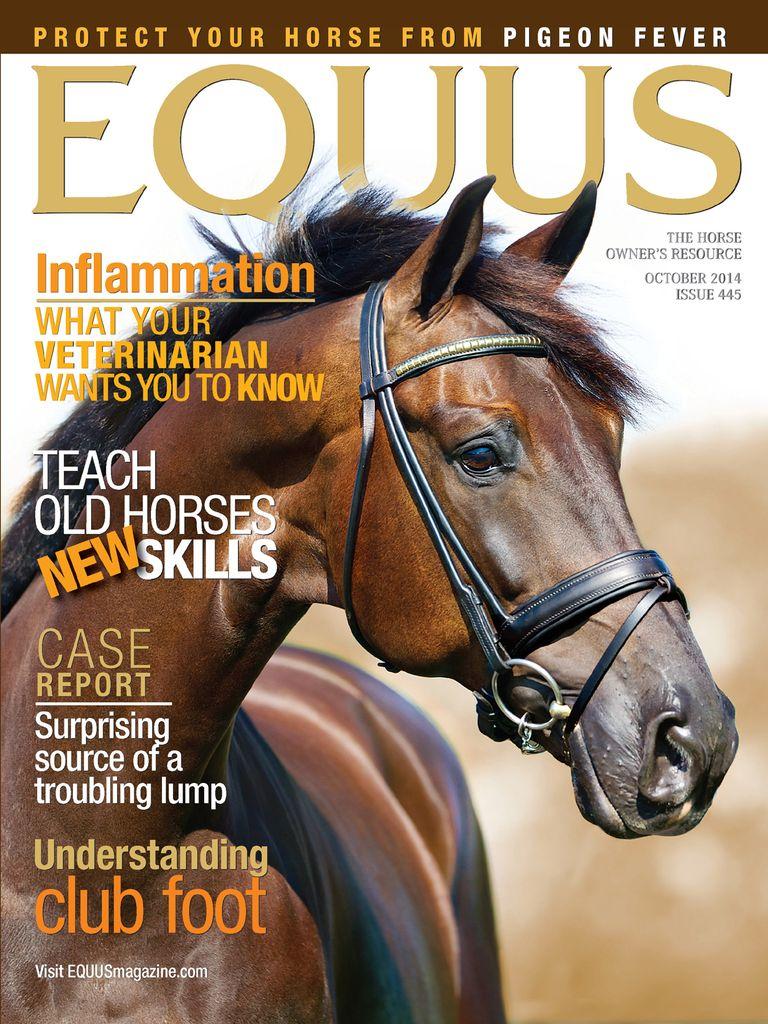 Equus Magazine | TopMags