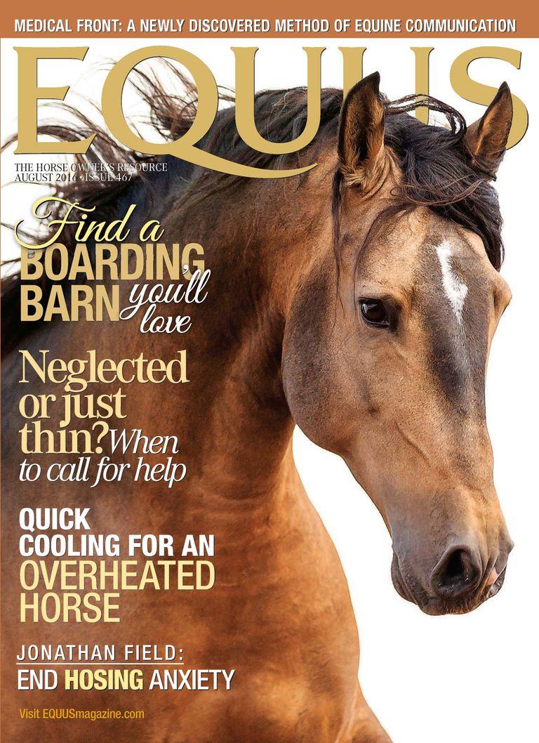 Equus Magazine | TopMags