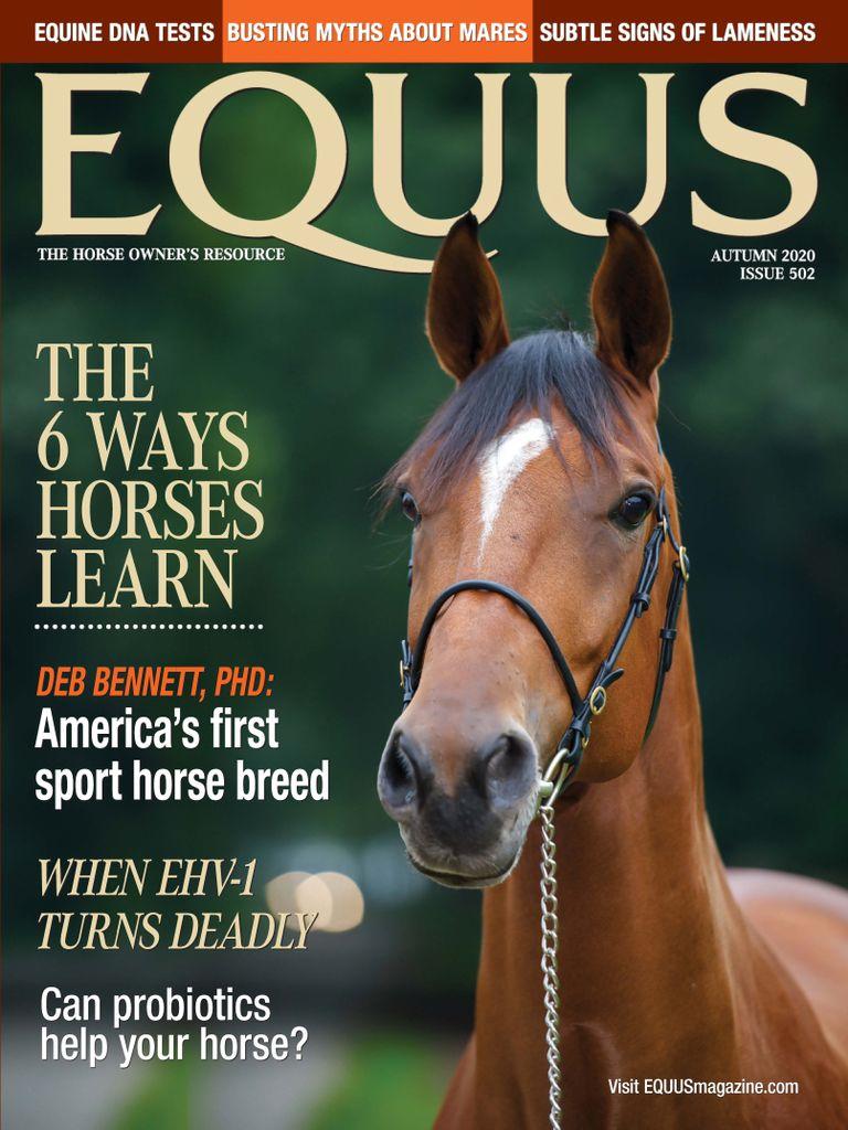 Equus Magazine | TopMags
