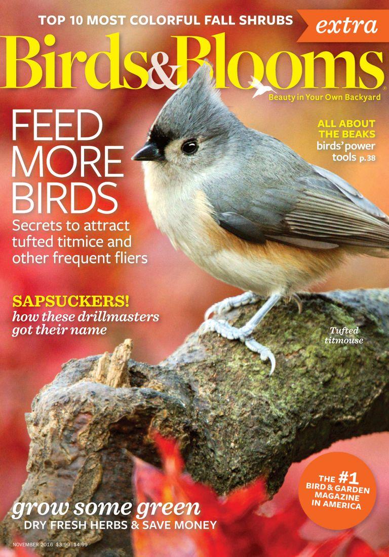 Birds & Blooms Extra Magazine | TopMags