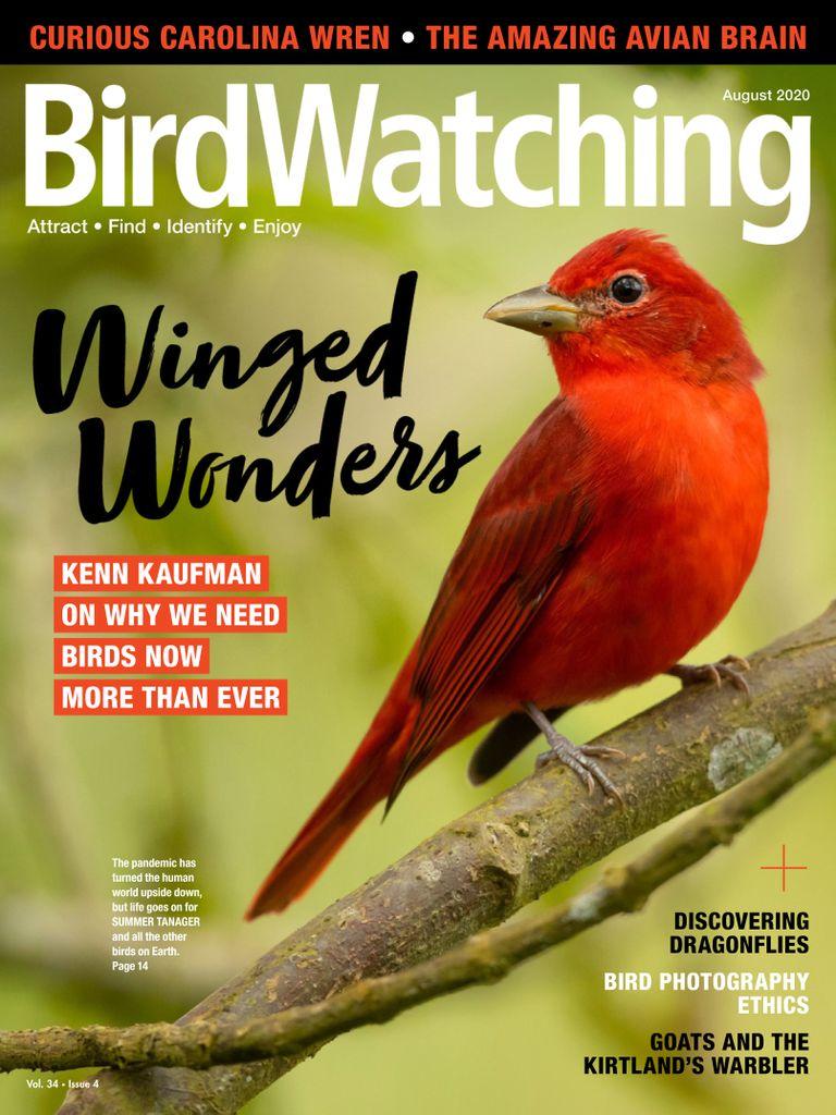Birdwatching Magazine | TopMags