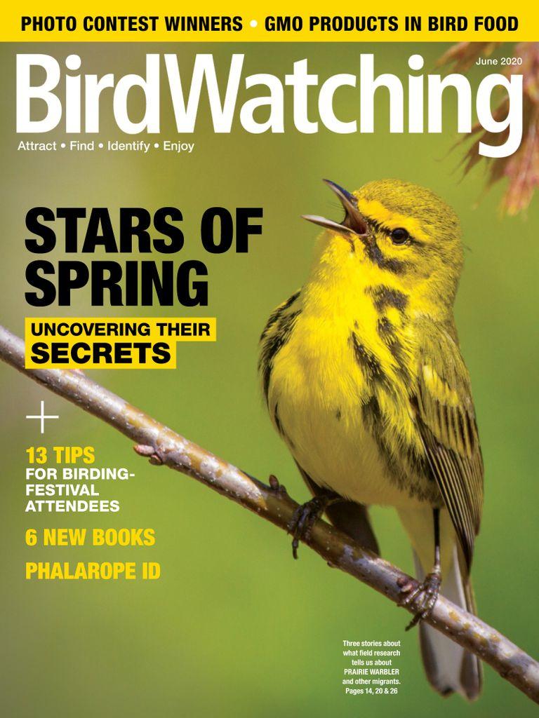 Birdwatching Magazine | TopMags