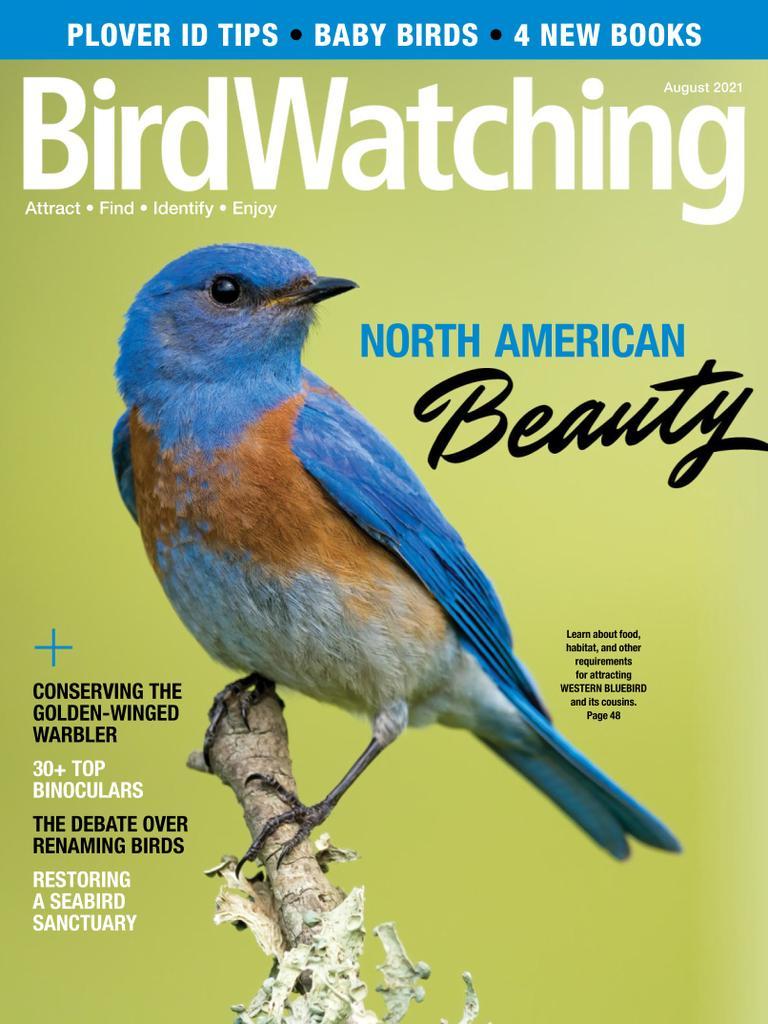 Birdwatching Magazine | TopMags