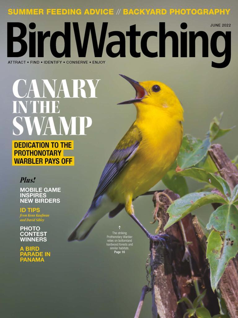 Birdwatching Magazine | TopMags