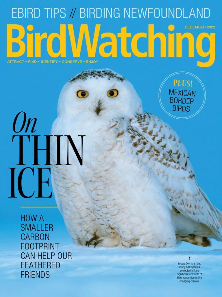 Birdwatching Magazine | TopMags