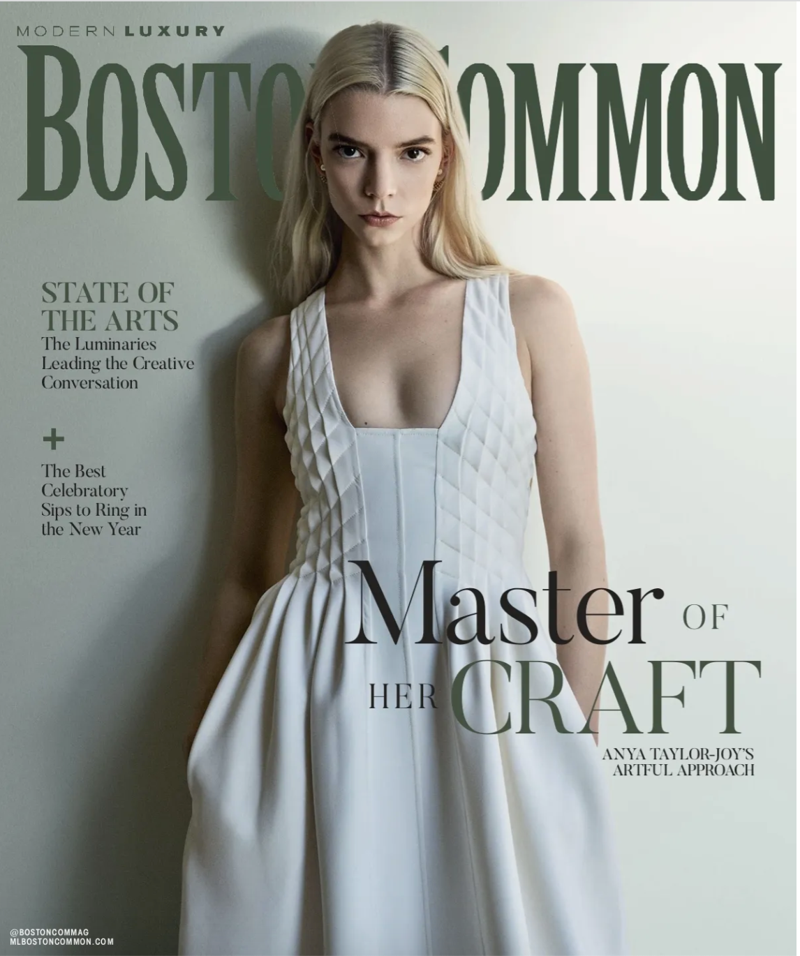 Boston Common Magazine | TopMags