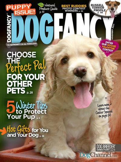 Dogster Magazine | TopMags
