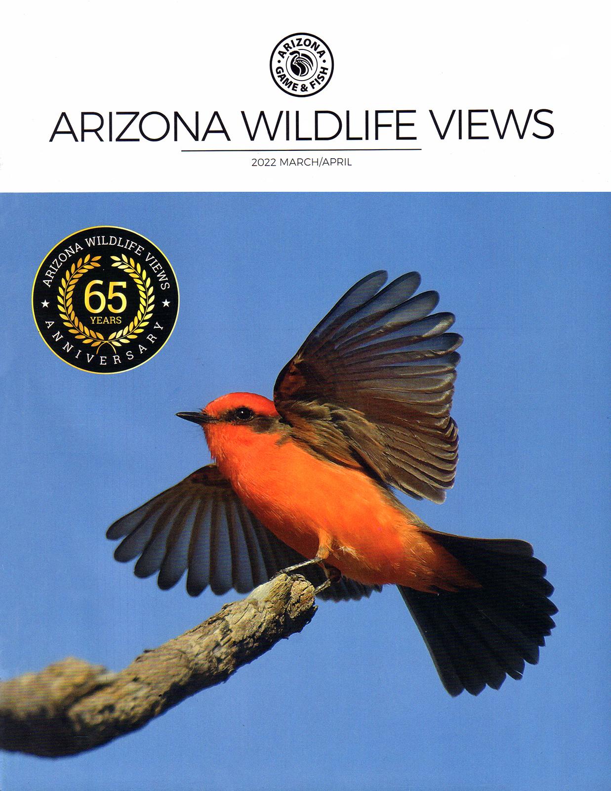 Arizona Wildlife Views Magazine | TopMags