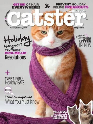 Catster Magazine | TopMags