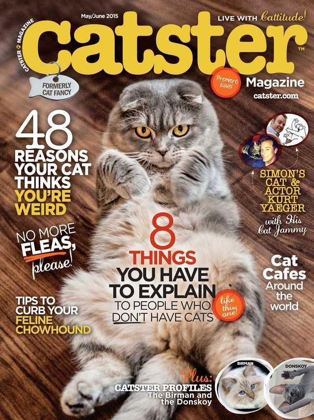 Catster Magazine | TopMags