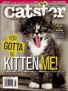 Catster Magazine | TopMags