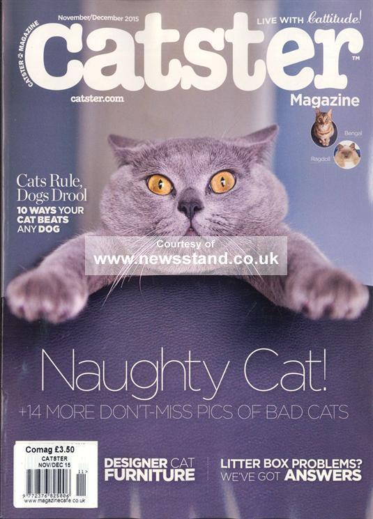 Catster Magazine | TopMags