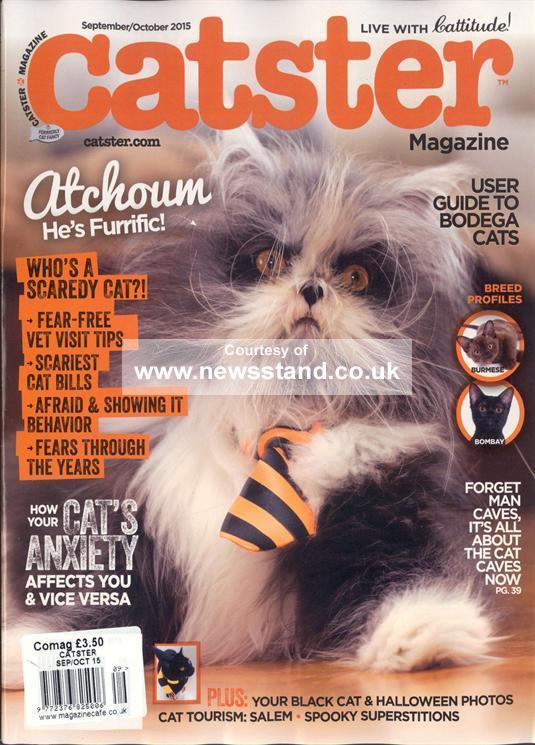 Catster Magazine | TopMags