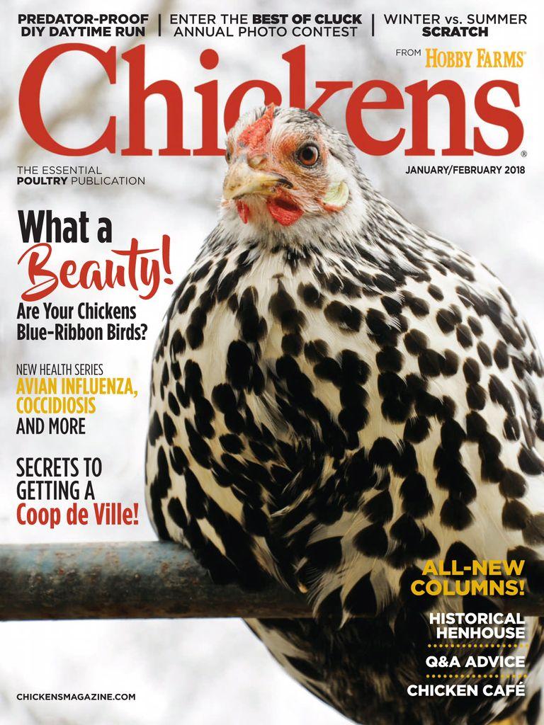 Chickens Magazine | TopMags