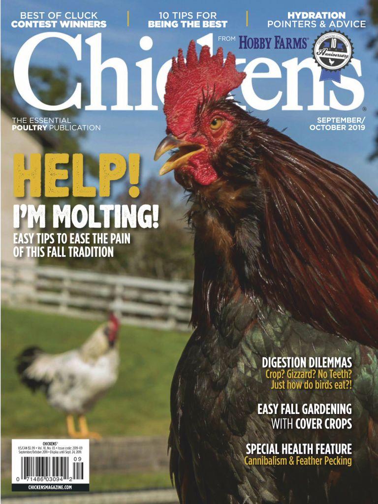 Chickens Magazine | TopMags