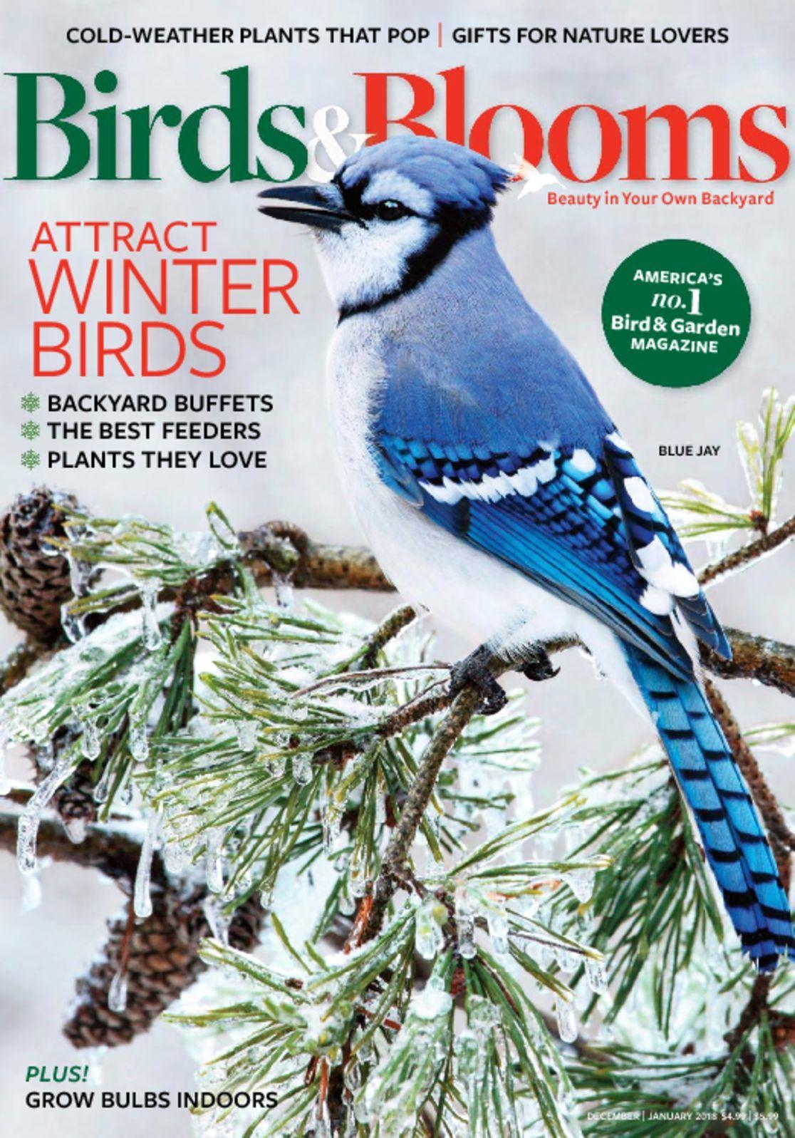 Birds & Blooms Magazine | TopMags
