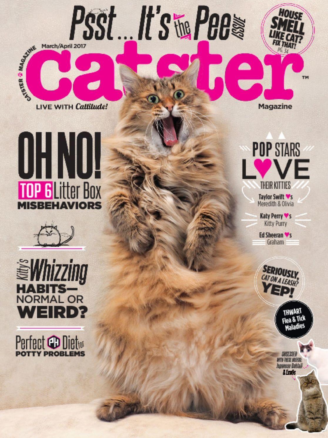 Catster Magazine | TopMags