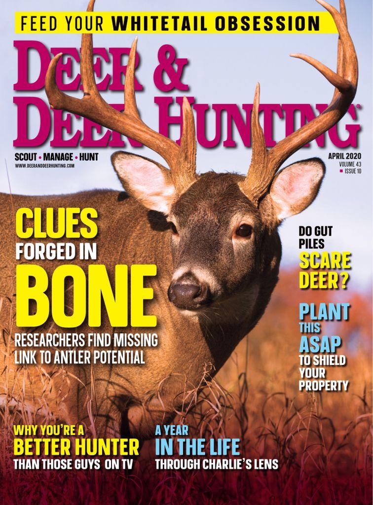 Deer & Deer Hunting Magazine | TopMags