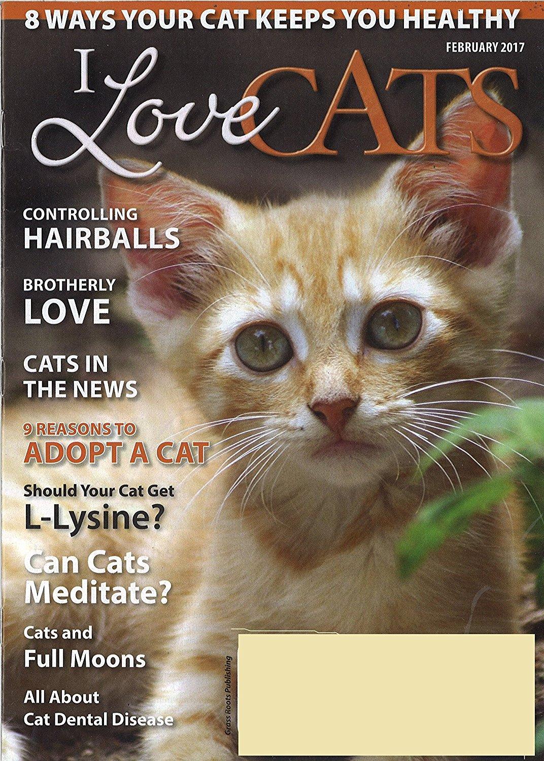 I Love Cats Magazine | TopMags