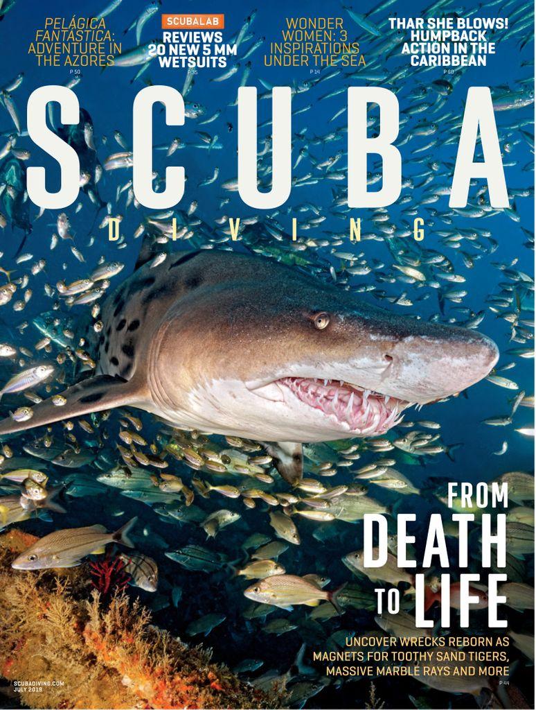 Scuba Diving Magazine | TopMags