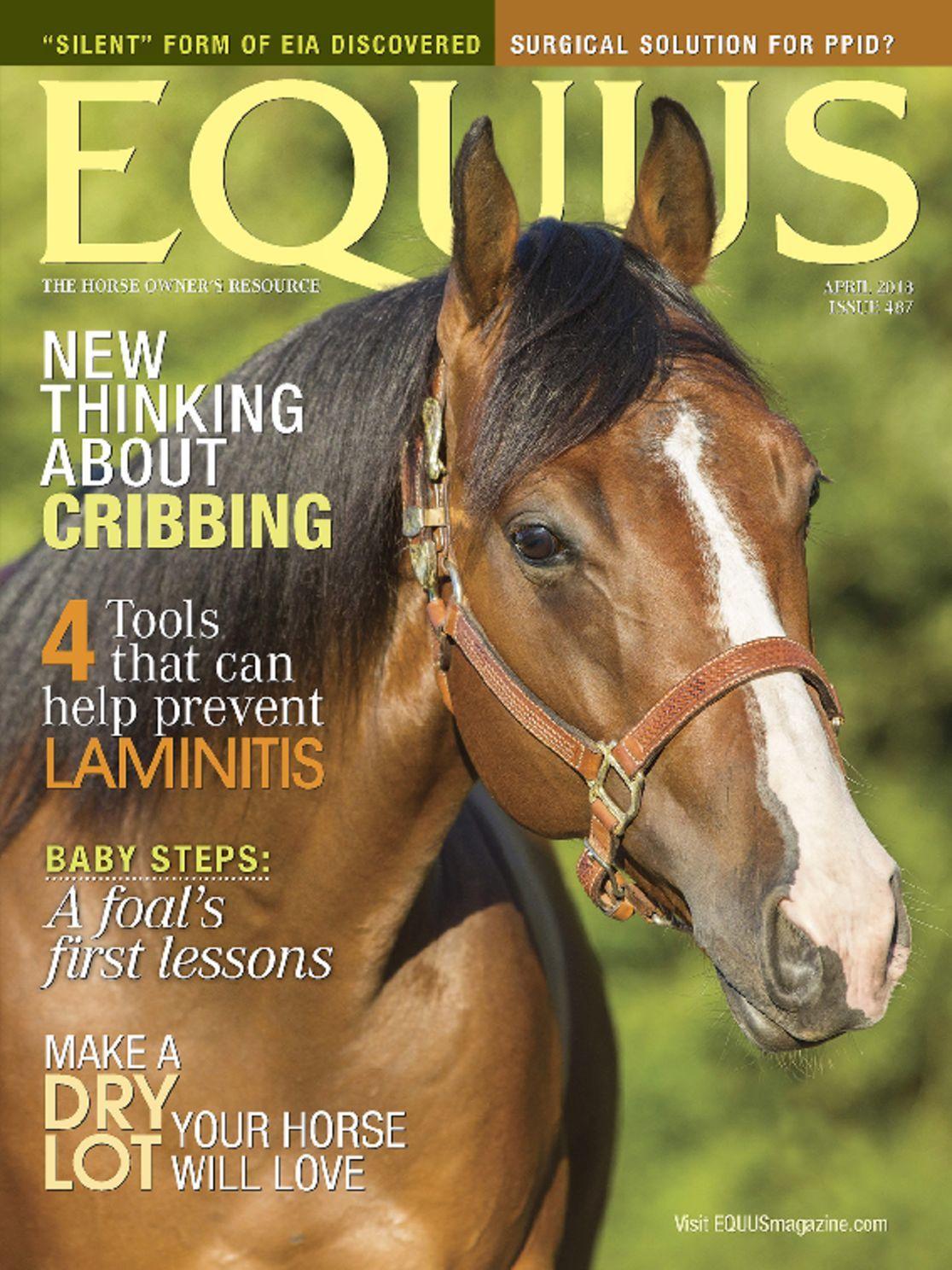 Equus Magazine | TopMags