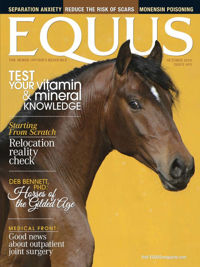 Equus Magazine | TopMags