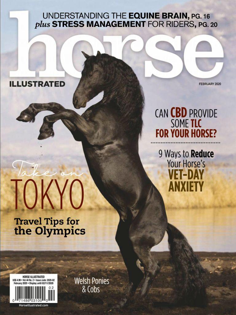 Horse Illustrated Magazine | TopMags