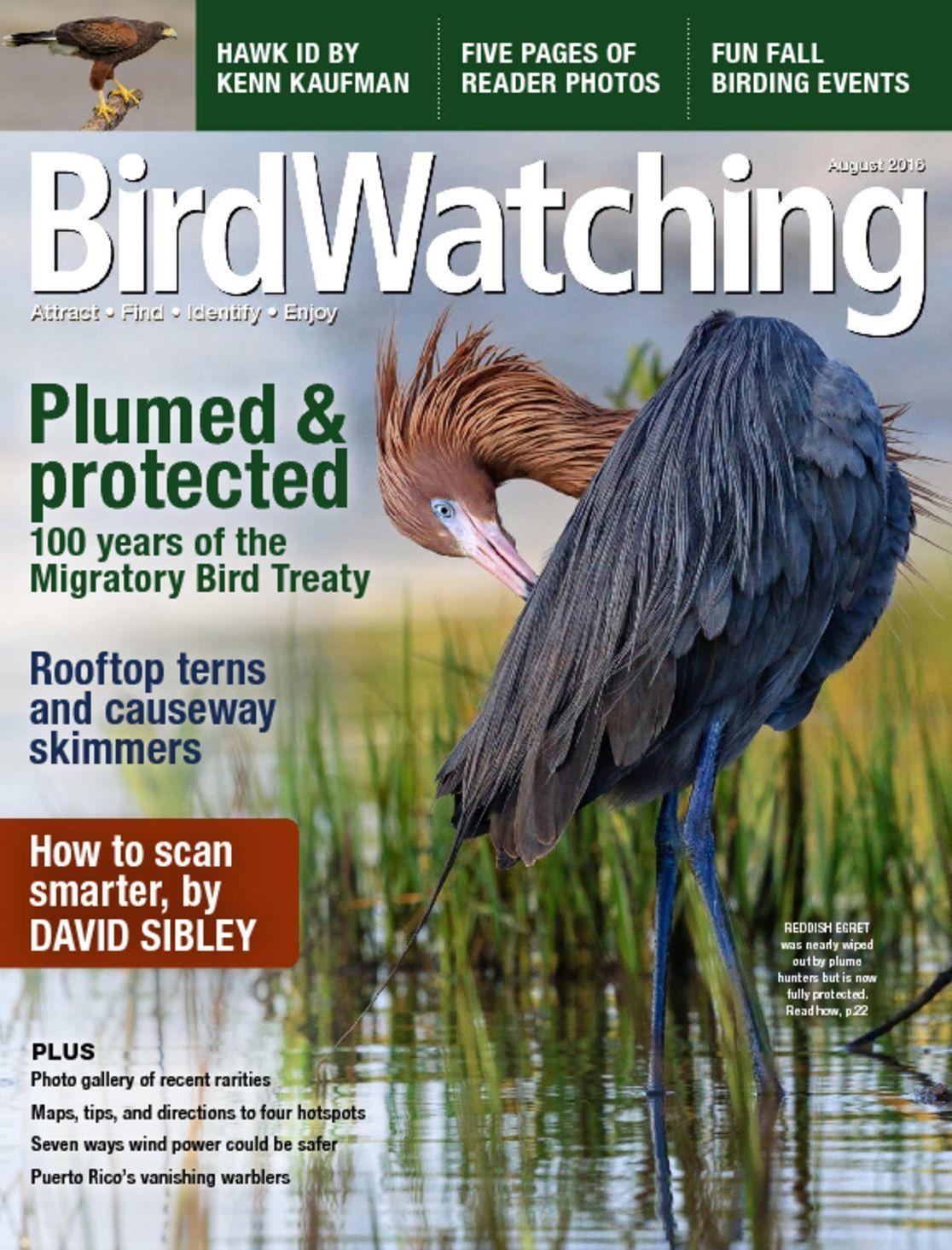 Birdwatching Magazine | TopMags