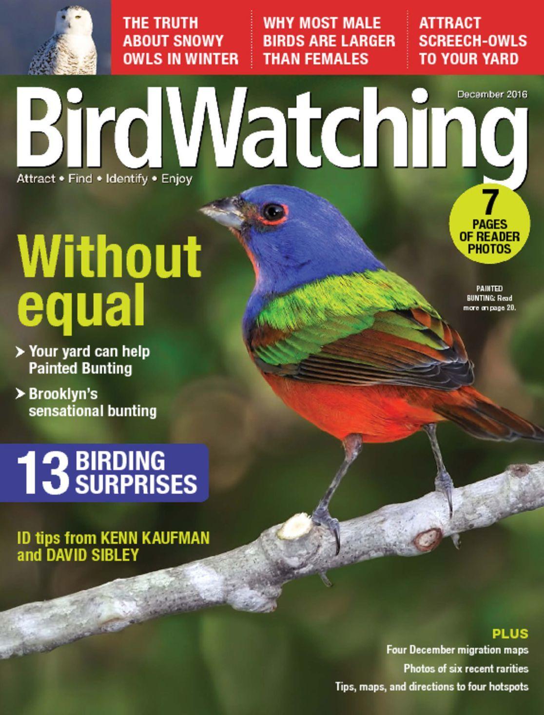 Birdwatching Magazine | TopMags