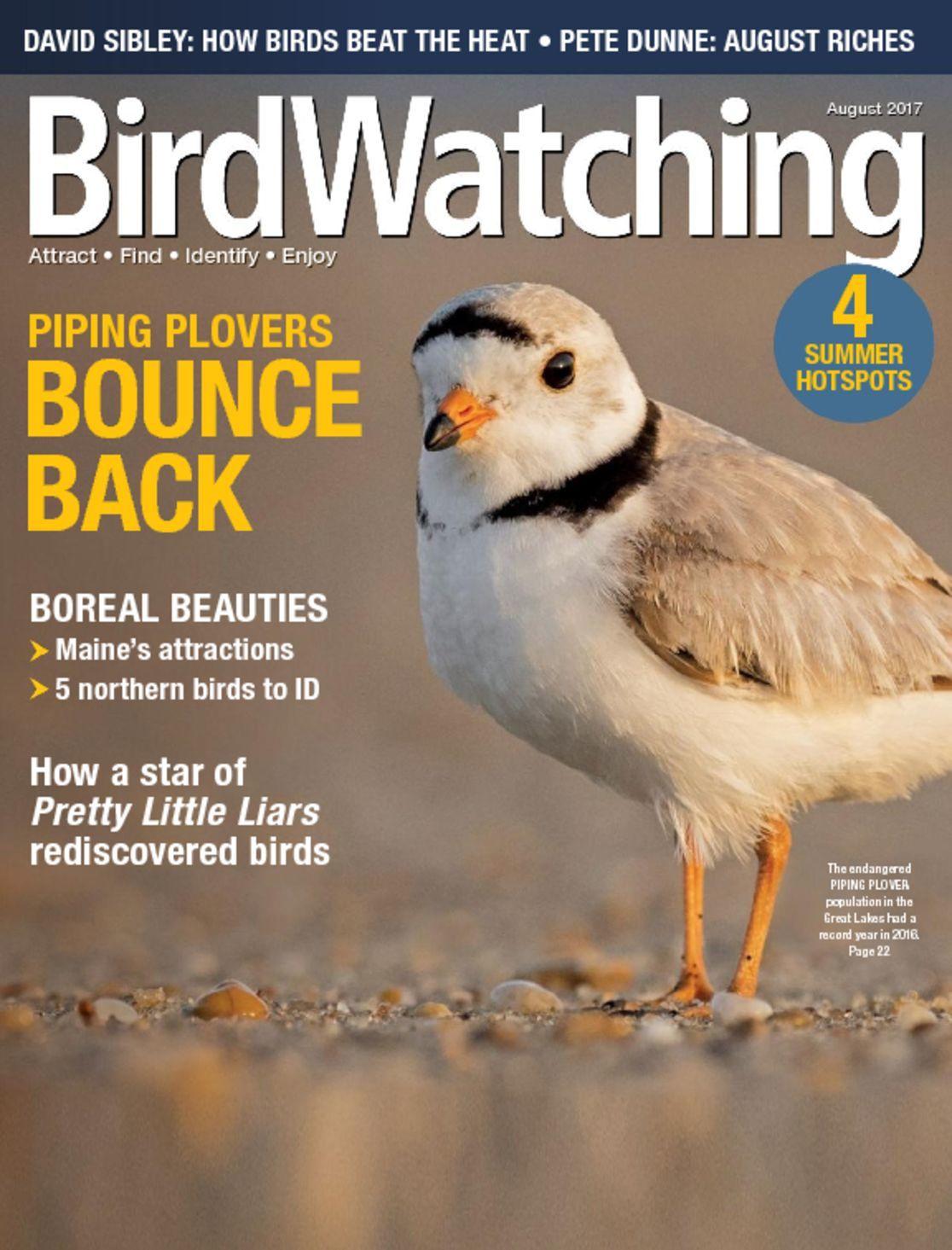 Birdwatching Magazine | TopMags