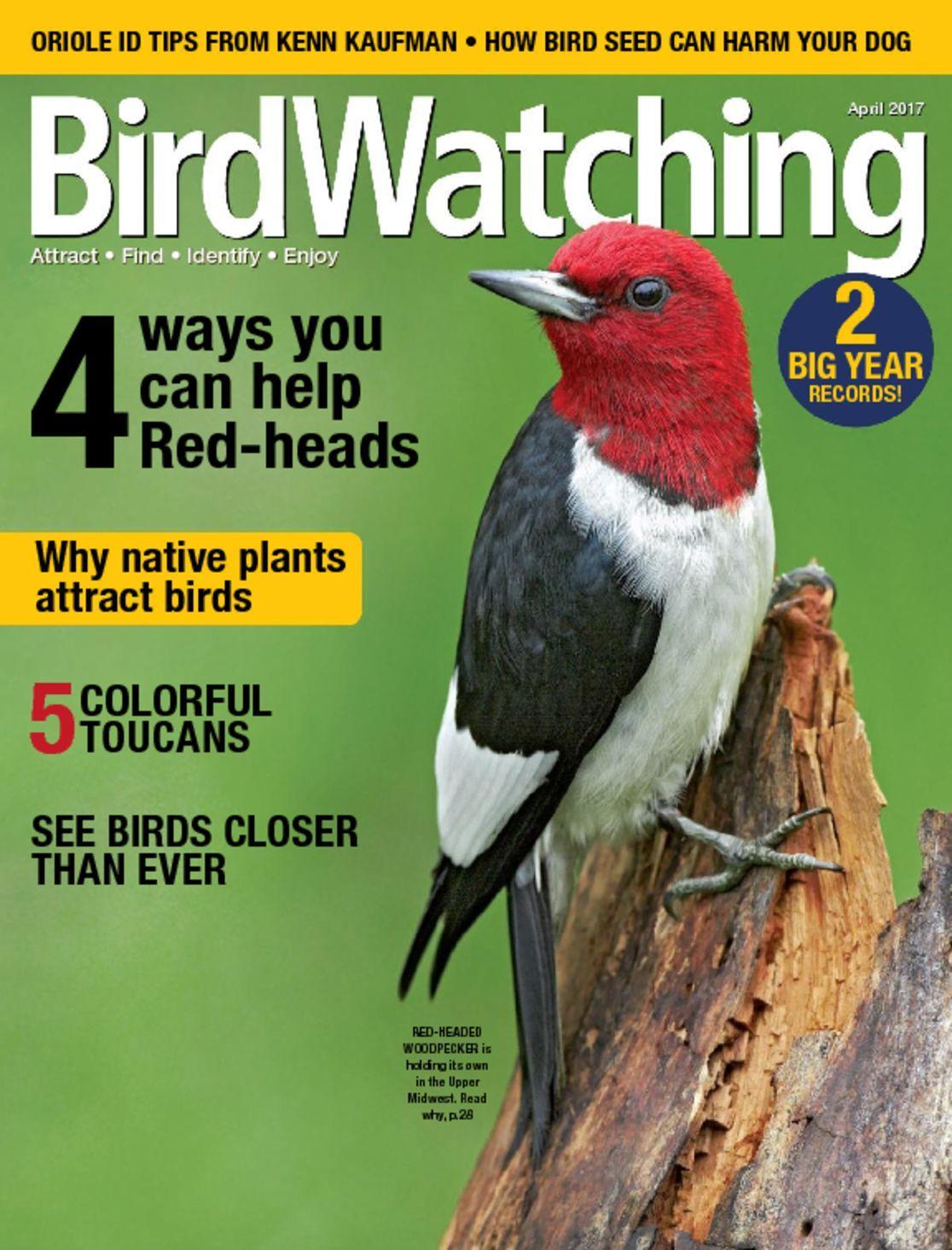 Birdwatching Magazine | TopMags