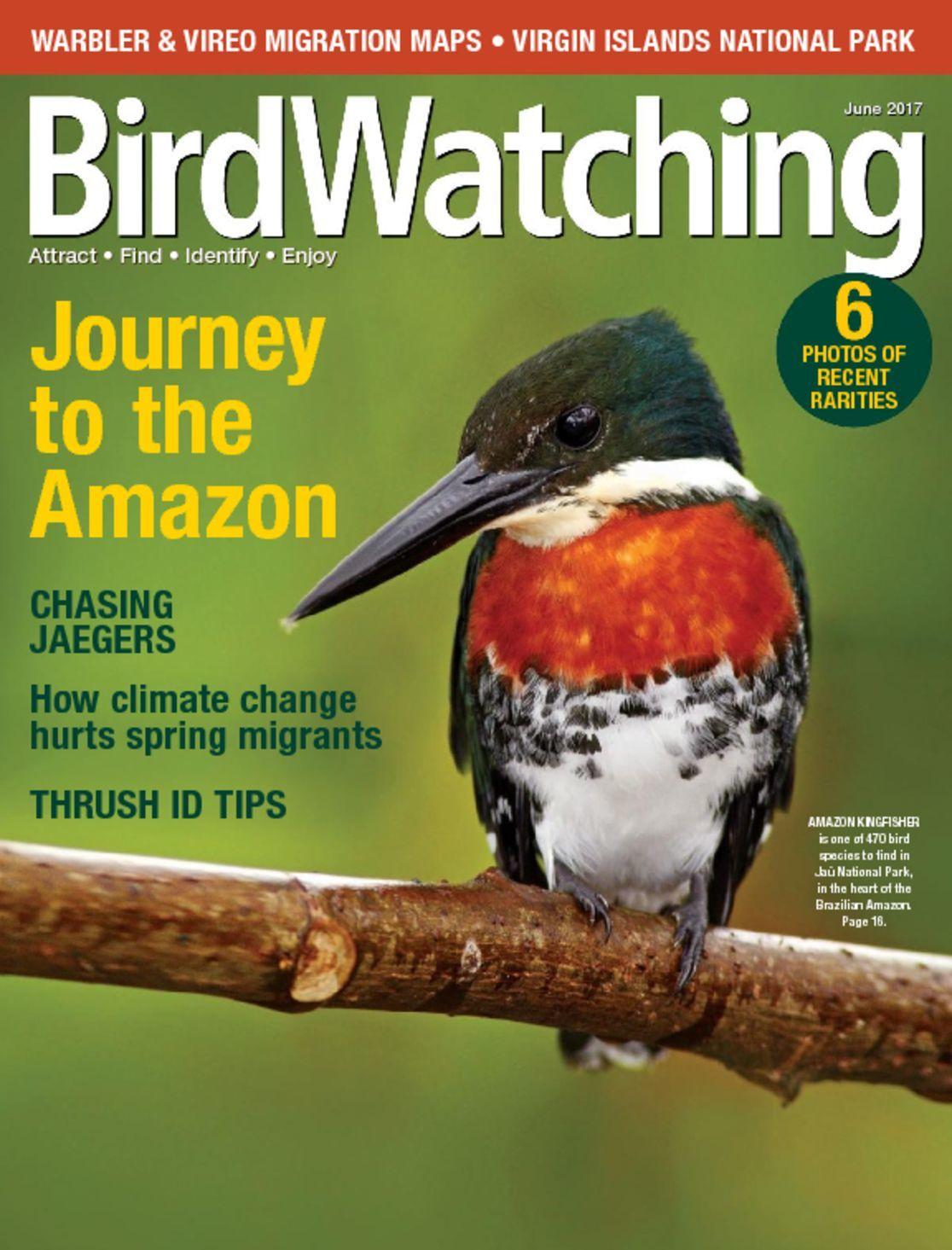 Birdwatching Magazine | TopMags