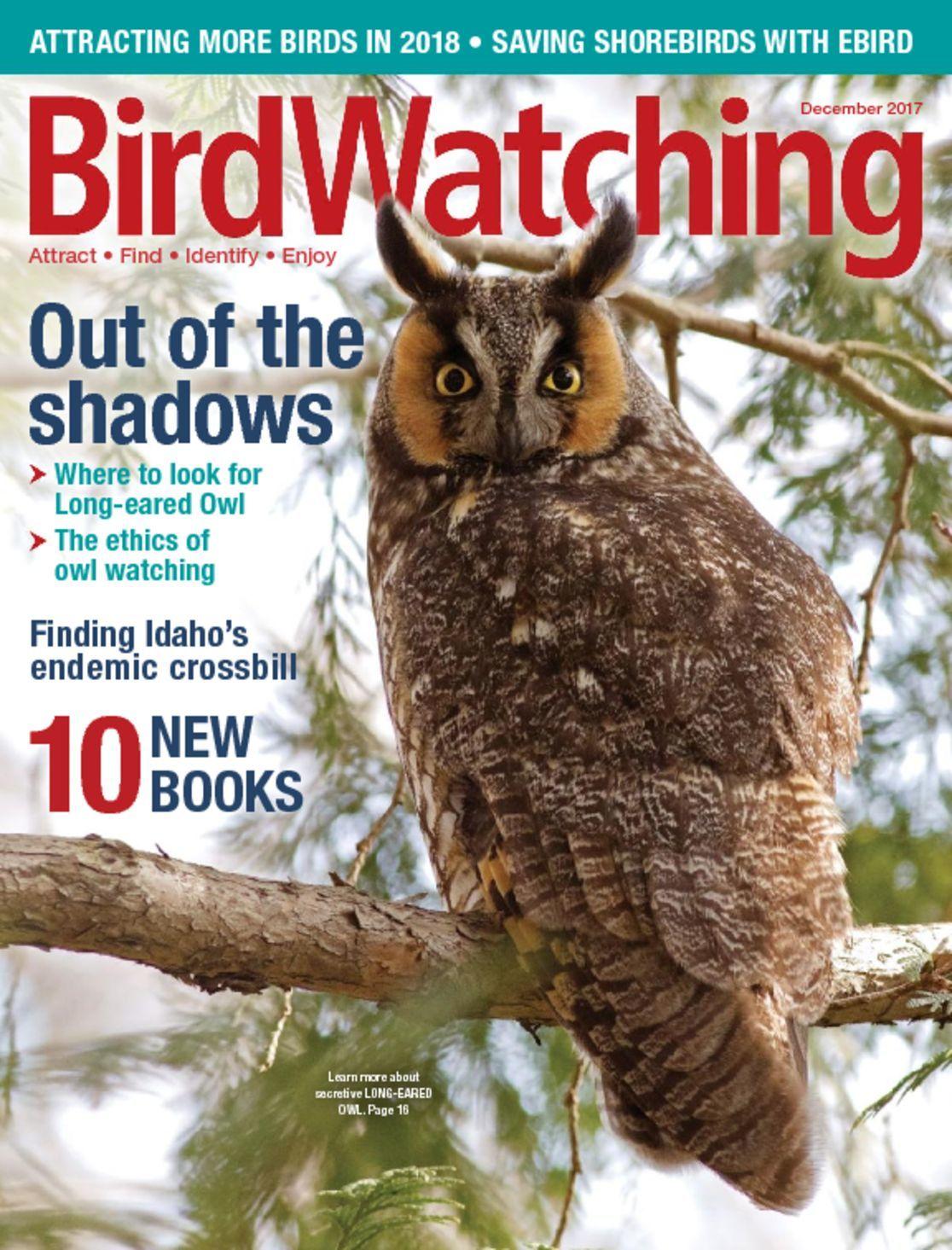 Birdwatching Magazine | TopMags