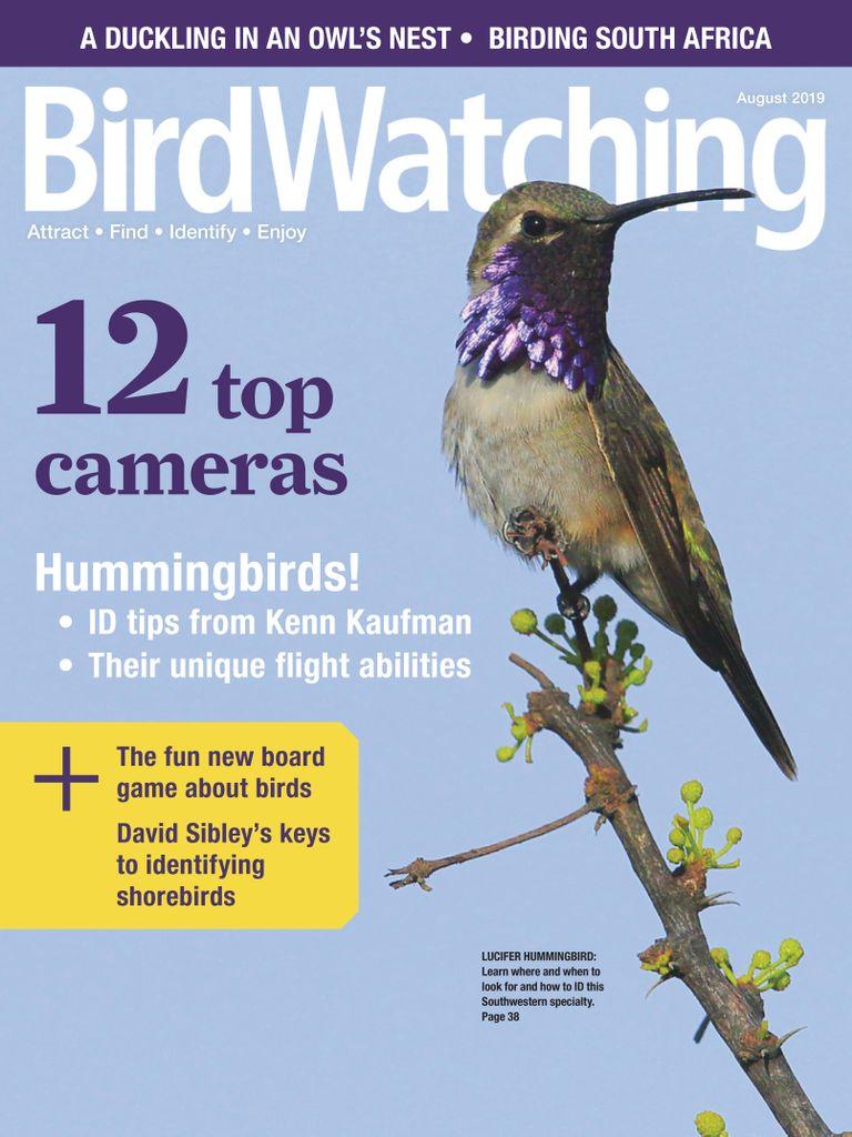 Birdwatching Magazine | TopMags