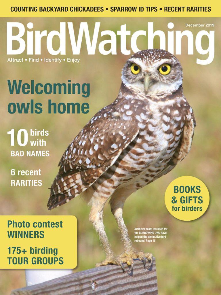 Birdwatching Magazine | TopMags