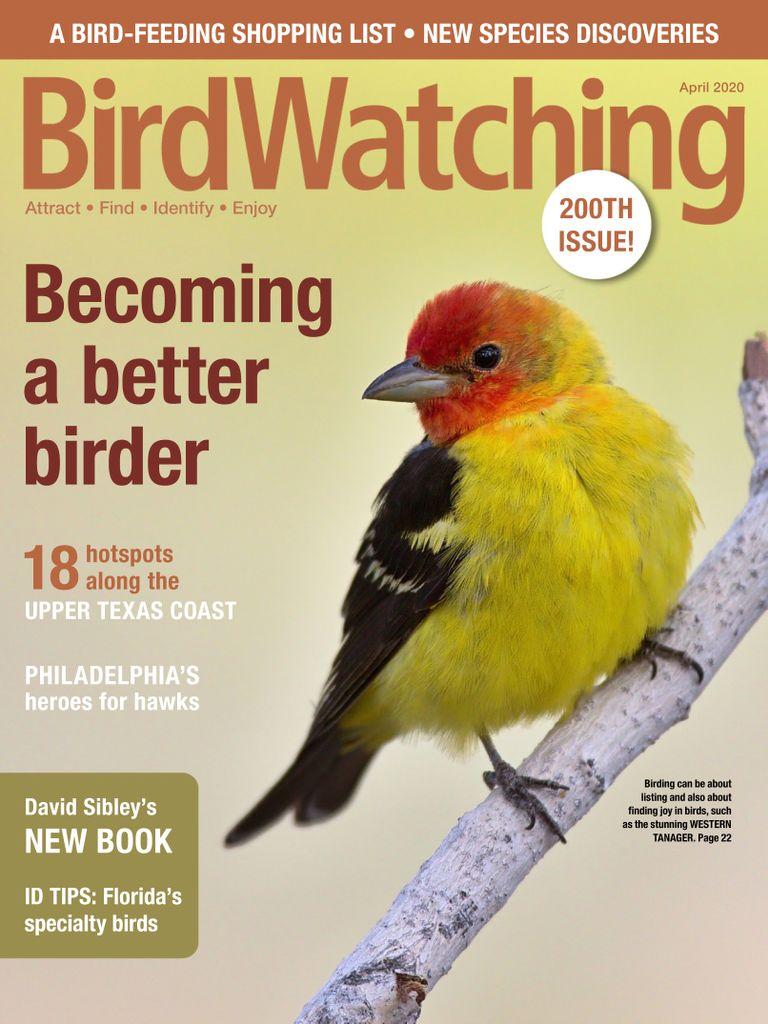 Birdwatching Magazine | TopMags